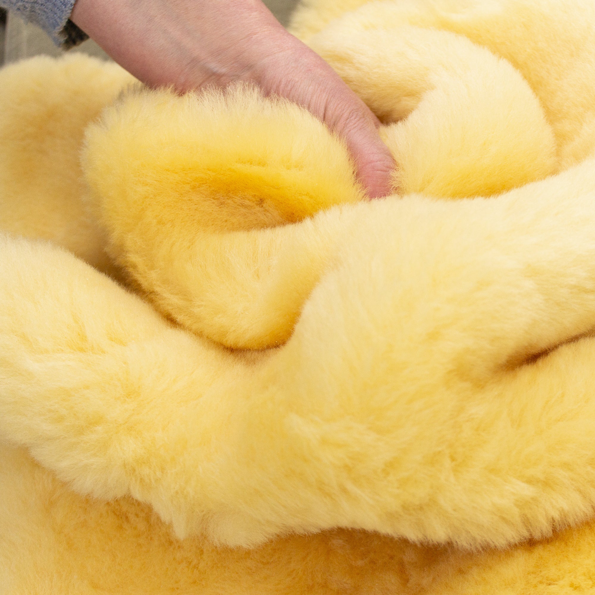 CleanSheep – European Sheepskins