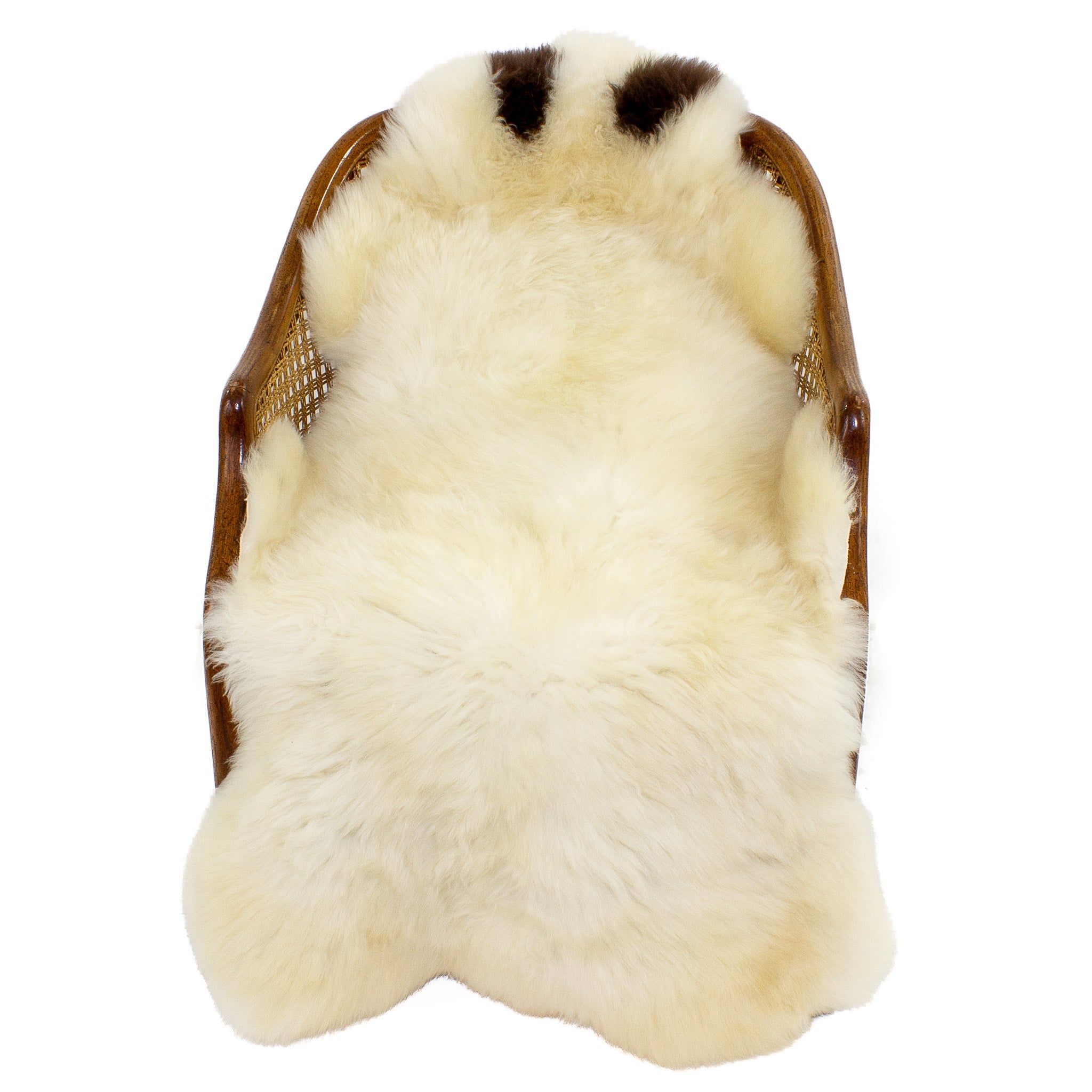 Sheepskin: Large Soft Short Wool Ivory w Brown Swedish – European ...